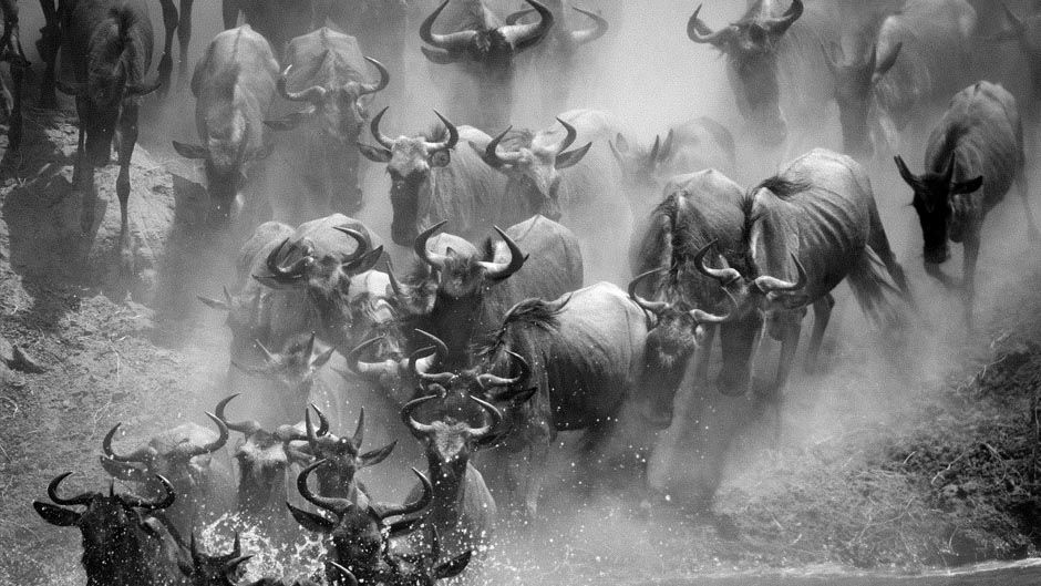 Migrating To A New Hosting Provider Is Easier Than You Think Idevie