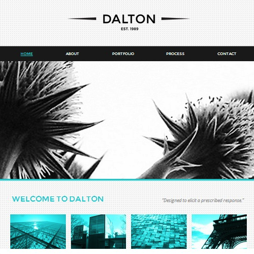 20+ Brilliant Premium and Free Adobe Muse Templates - iDevie