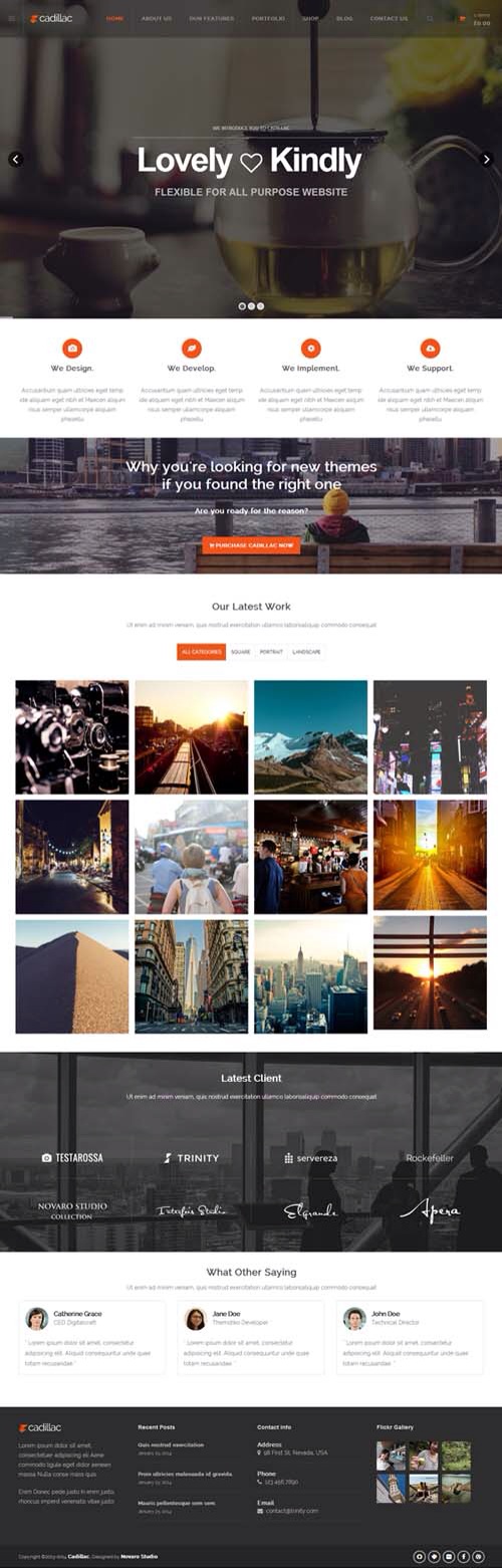 Responsive Business WordPress Themes (15 New WP Themes) - iDevie