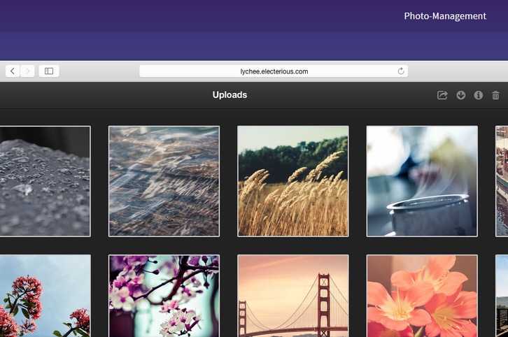 Lychee – A Free Photo Management Tool - iDevie