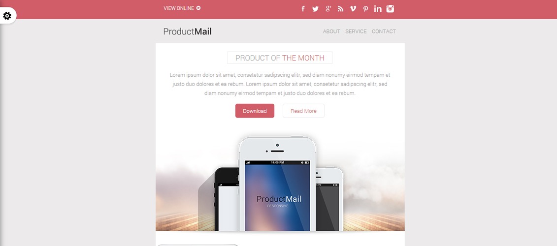 20 Feature-Rich Premium Newsletter Templates - iDevie