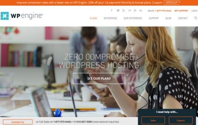 The Benefits of WP Engine Developer Tools - iDevie