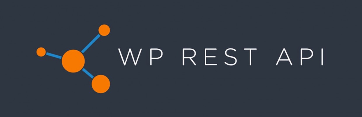Introducing the WP REST API - iDevie