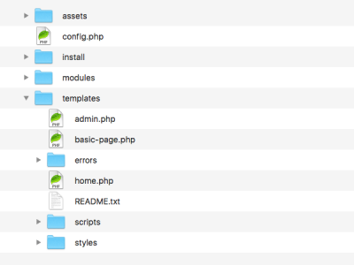 How to Develop a Processwire Theme - iDevie