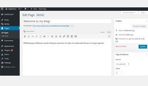 Kick-Start WordPress Development With Twig: Blocks, Nesting, and WP Cheatsheet - iDevie