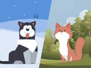 Animated Animals in CSS and SVG - iDevie