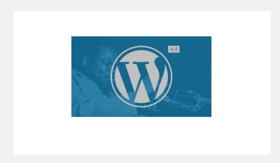 Kick-Start WordPress Development With Twig: Timber Image, Menu, and User - iDevie