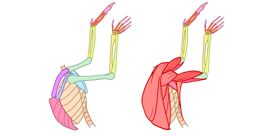 How to Draw Angel Wings - iDevie