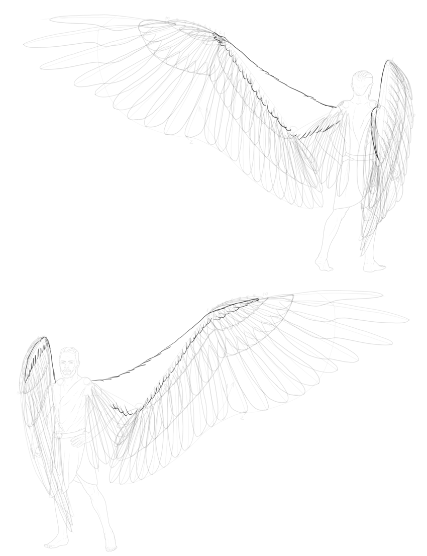 How to Draw Angel Wings - iDevie
