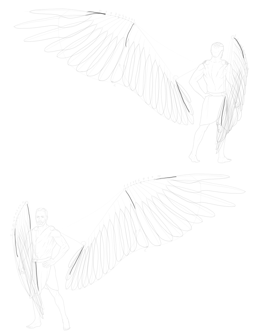 How to Draw Angel Wings - iDevie
