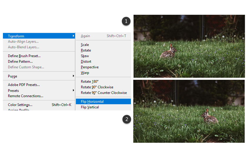 How to Create a Glowing, Fireflies Photo Manipulation in Adobe Photoshop - iDevie