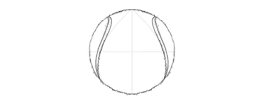 How to Draw a Ball - iDevie