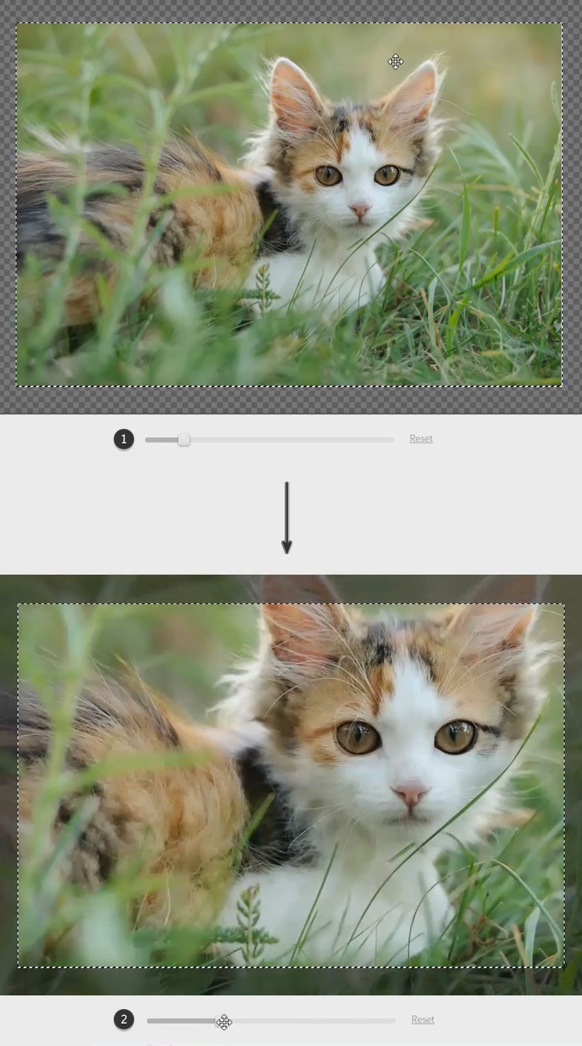 How to Resize an Image in Photoshop - iDevie