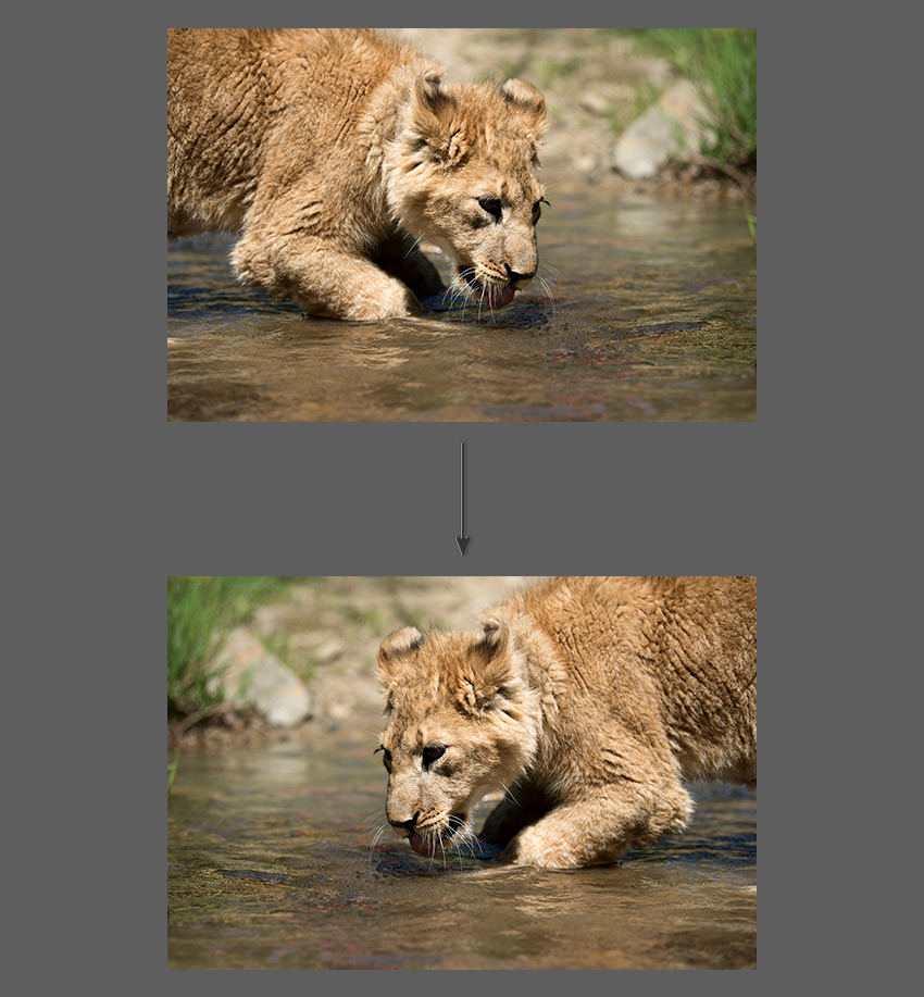 How to Mirror an Image in Photoshop - iDevie
