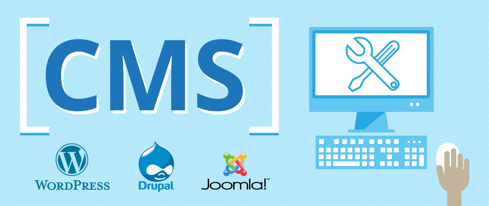 WordPress CMS Based Web Development: Best Choices of Database Plugins ...